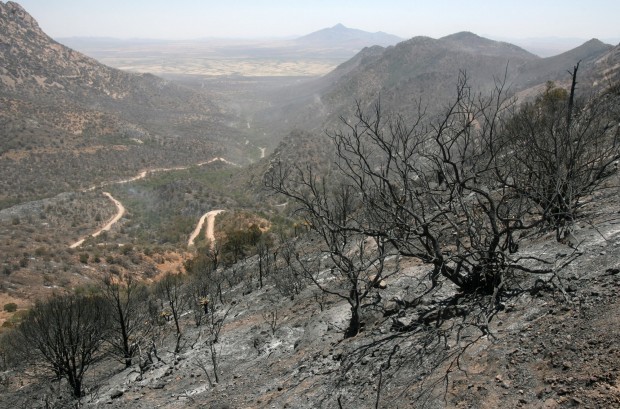 Photo gallery: June 19: Monument Fire | Wildfire | tucson.com