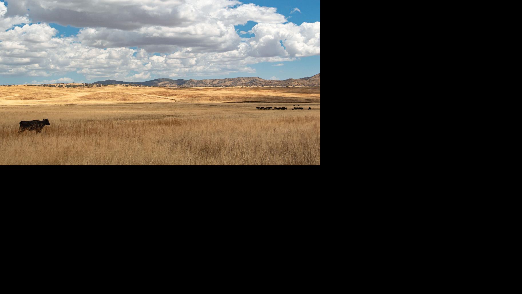 Border wall expanding across Arizona's scenic grasslands