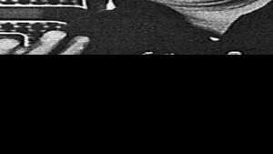 'Singing Fireman' makes learning safety skills fun for kids