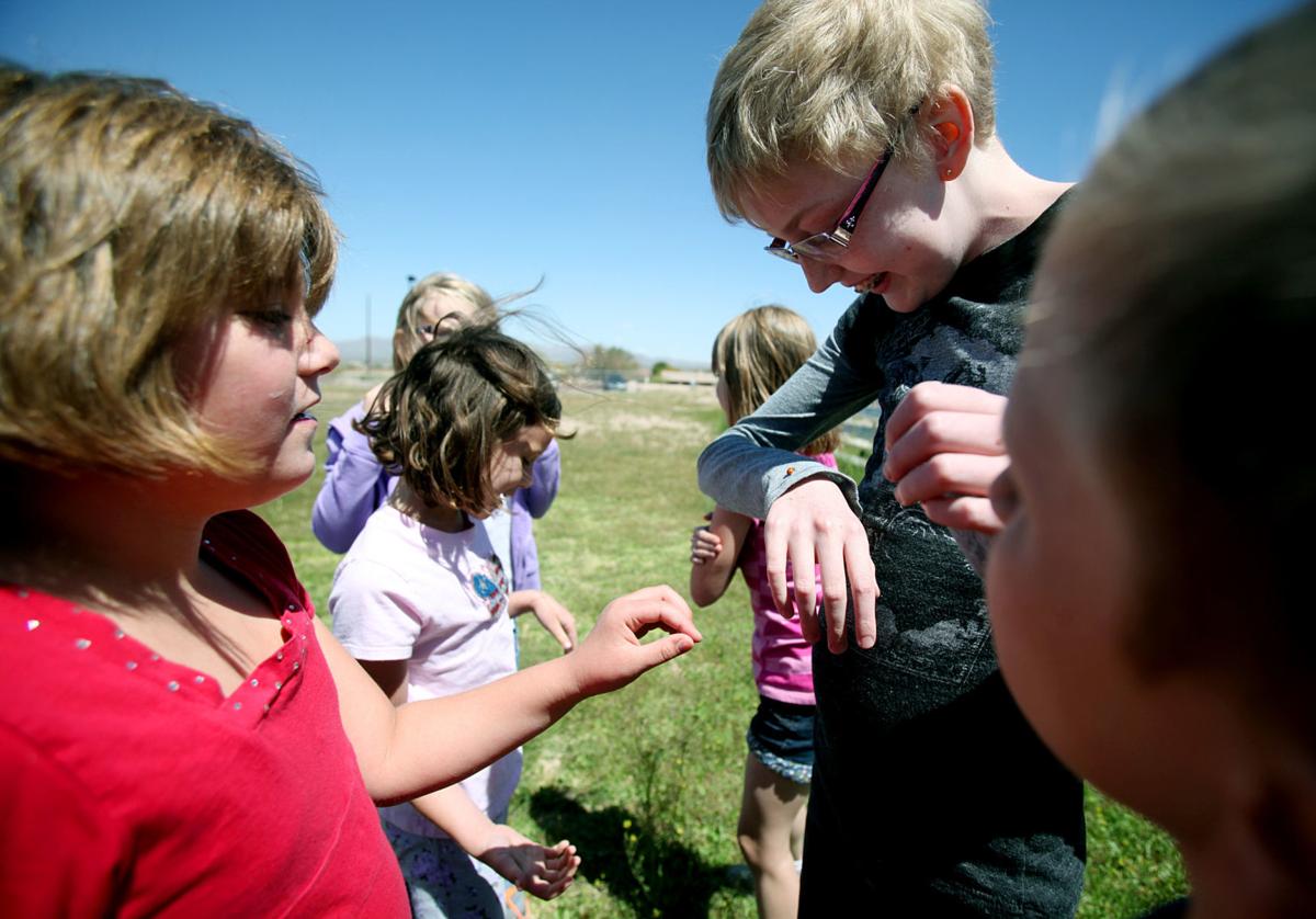 Photos: Addison Rerecich, 1999–2019