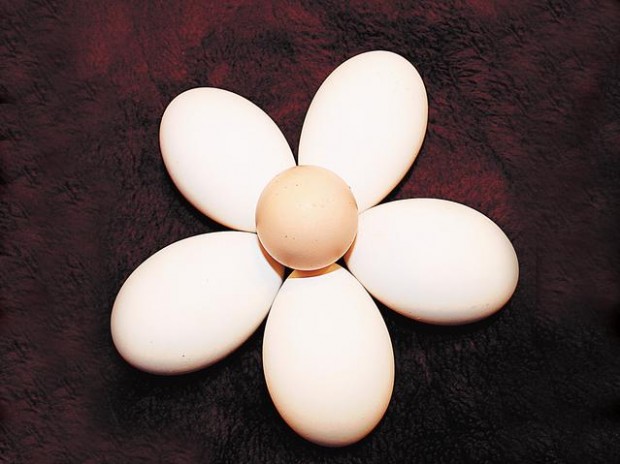 A messy, tattered home is a well-designed home