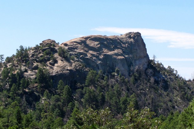 Lizard Rock can be a coldblooded critter