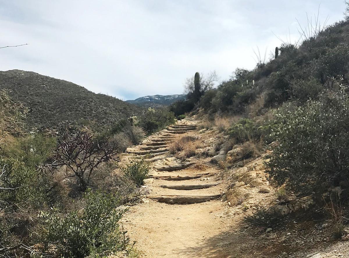 A helpful hiker's guide to the Douglas Spring Trail | tucson life ...