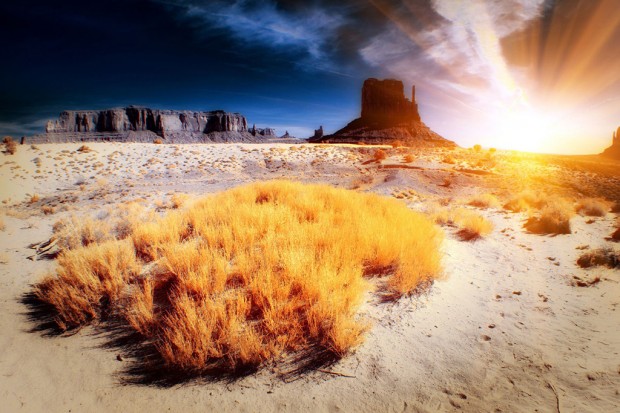 'Shutterbug' takes on new meaning