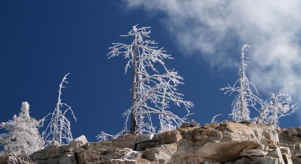 Photos: Snow on Mt. Lemmon and Catalinas