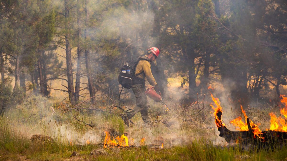 Fire officials bracing for a wild wildfire season
