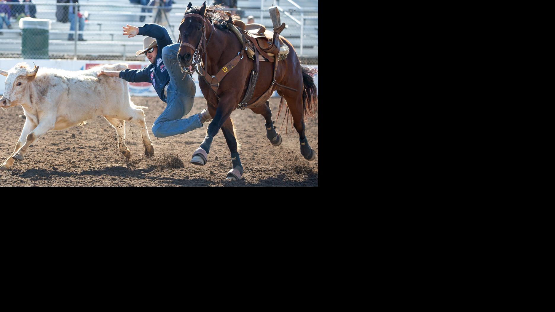 Photos: 97th Tucson Rodeo, Day 3