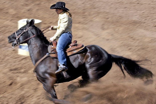 LA FIESTA DE LOS VAQUEROS