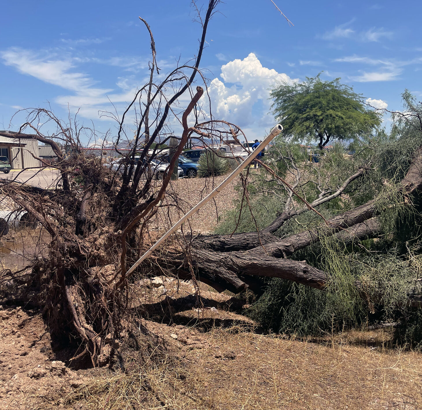 Officials confirm tornado touched down in Tucson