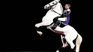 Skilled Lipizzaners strut their stuff at World Tour
