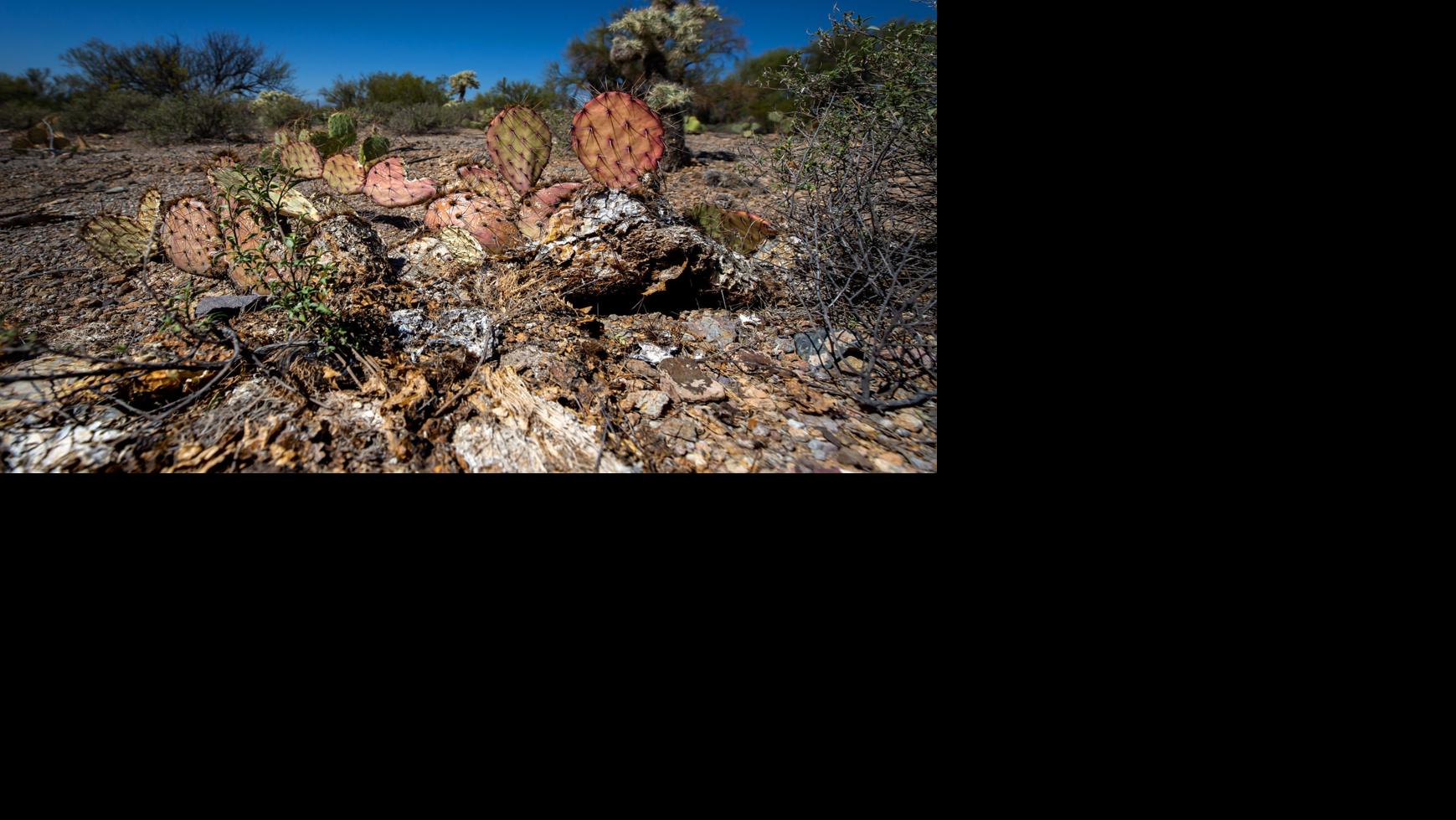 The drought's getting worse, particularly in the Southwest, says new ...