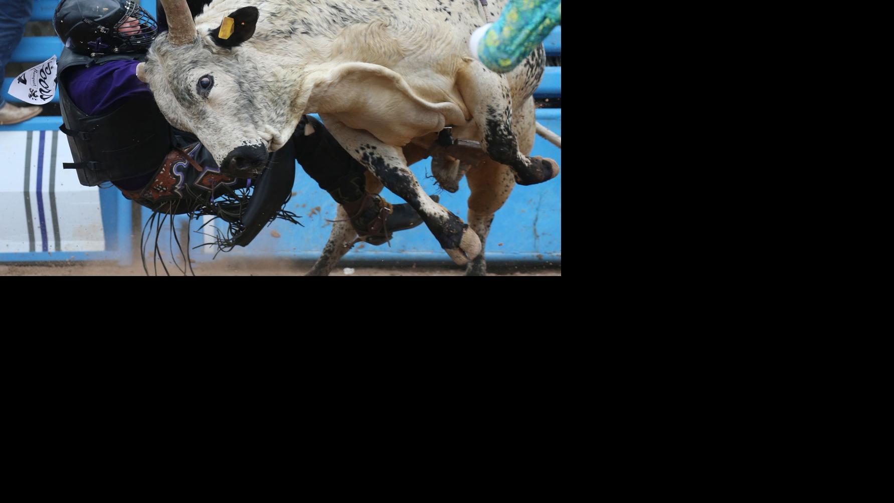 Photos: 2019 Tucson Rodeo, Day 5