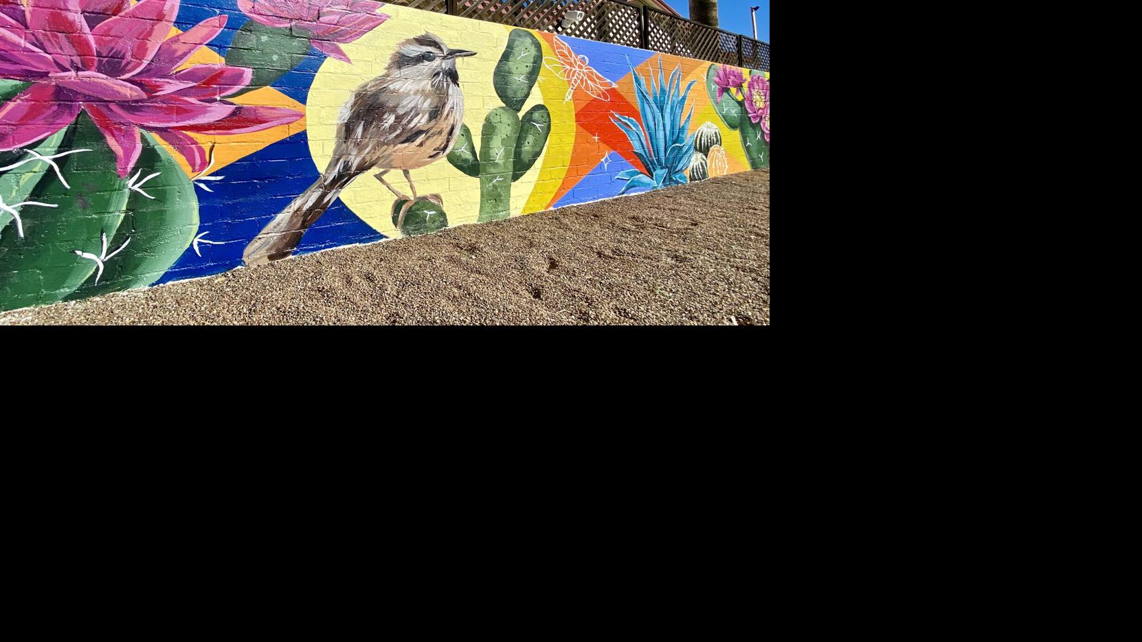 Local muralist The Desert Pen beautifies Tucson with her artwork ...
