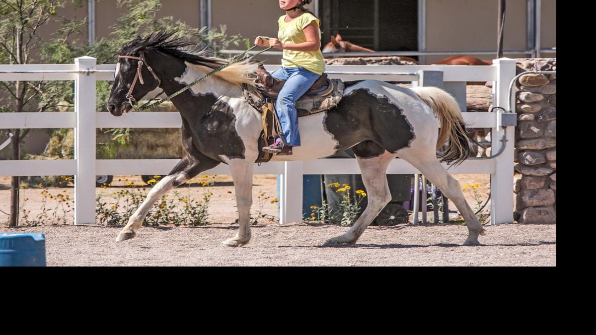 Therapeutic Ranch for Animals and Kids | | tucson.com