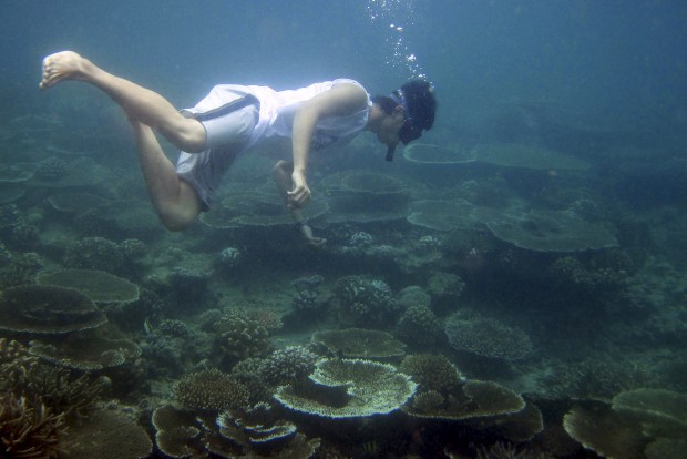 Indonesia's coral reefs endangered