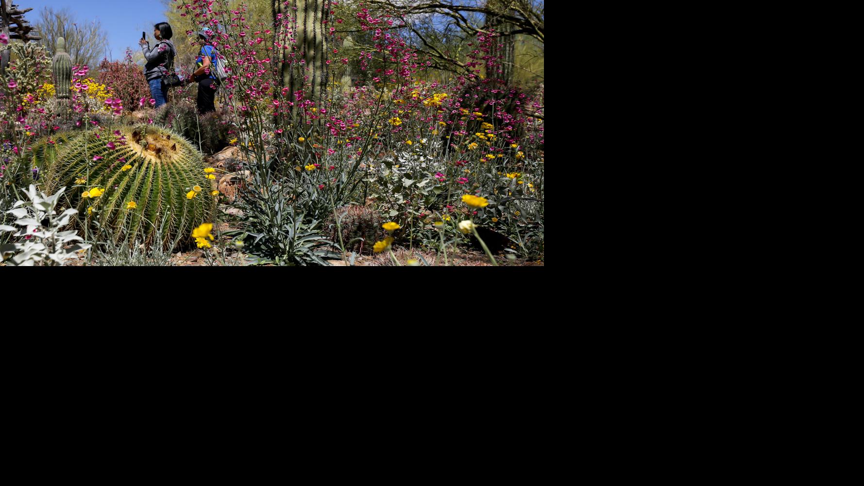 Things to do outdoors in Tucson, Arizona | to do | tucson.com