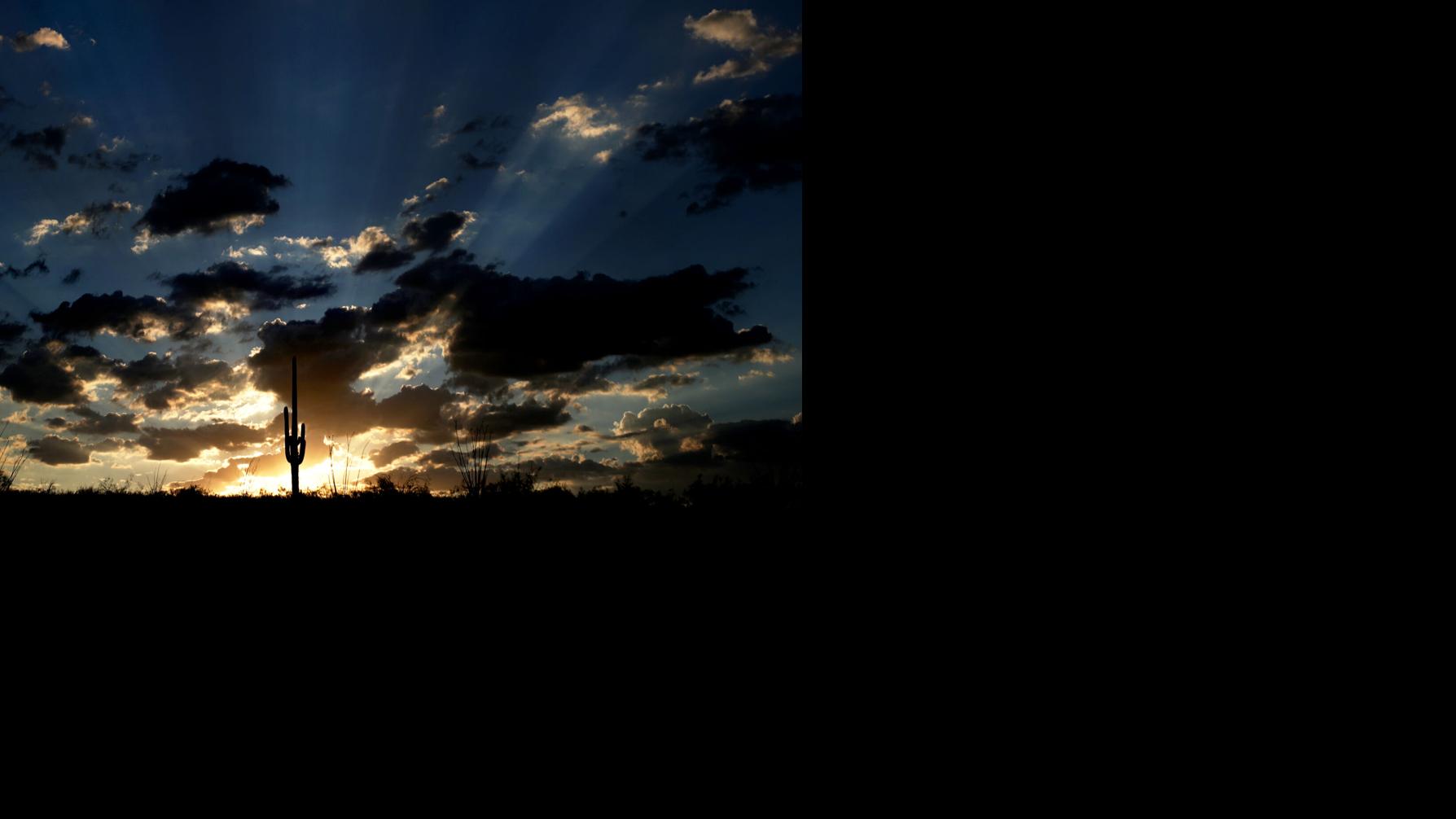 Edge of metro Tucson area gets taste of this year's monsoon