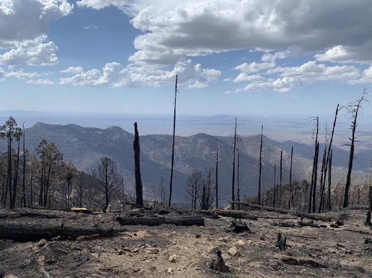 Bighorn Fire map: Track boundaries of the blaze near Tucson