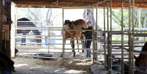 My Tucson: Shelene Taylor