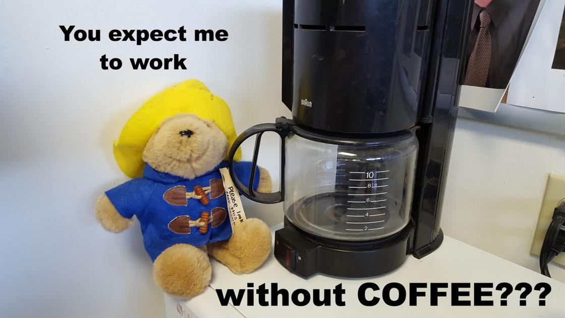Bring your Teddy Bear to work and share a photo