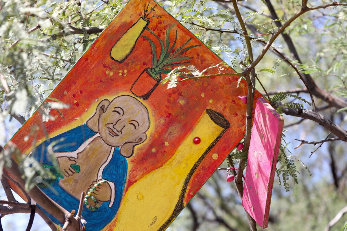 Photos: Tucson Homeless encampment in '100 acre woods'