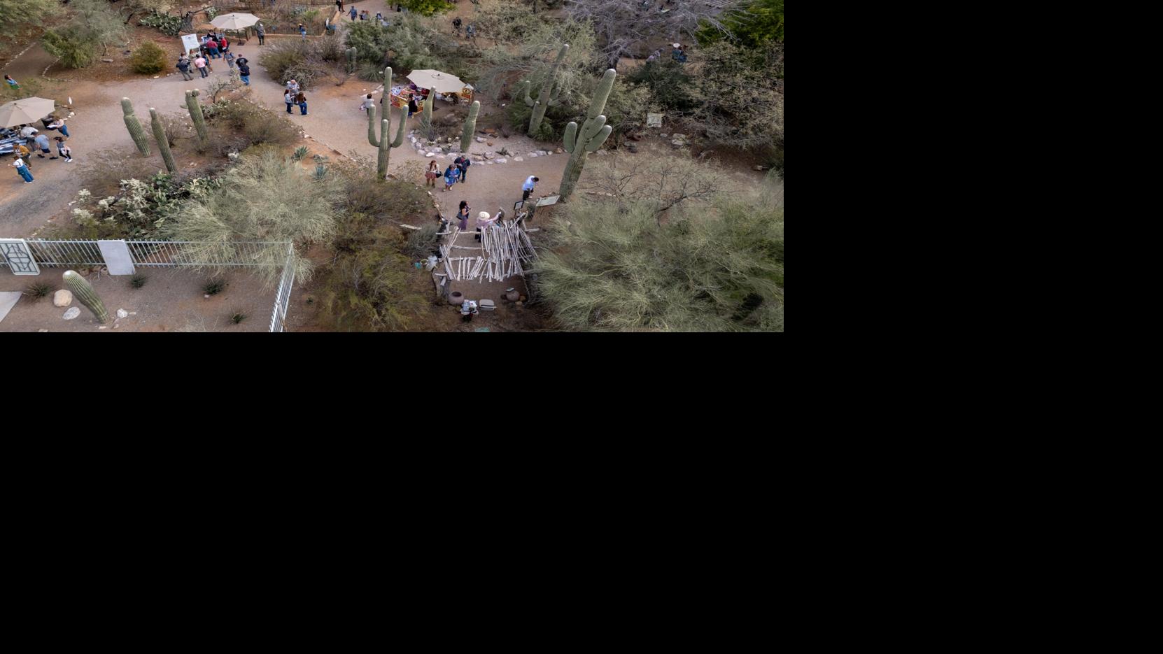 Over 20 events happening in Tucson this weekend | This Is Tucson ...