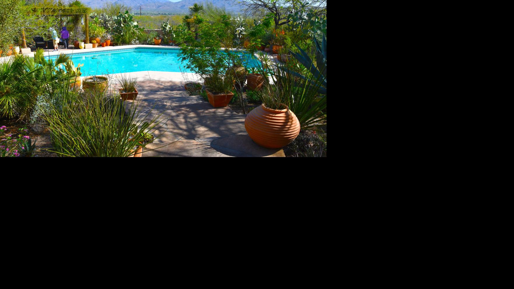 Photos: Take a peek into the backyards of Tucson's garden experts