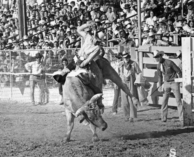 Western Women: Rodeo photographer Louise Serpa