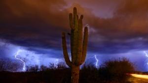 10 things to know about monsoon season before stuff starts getting real ...