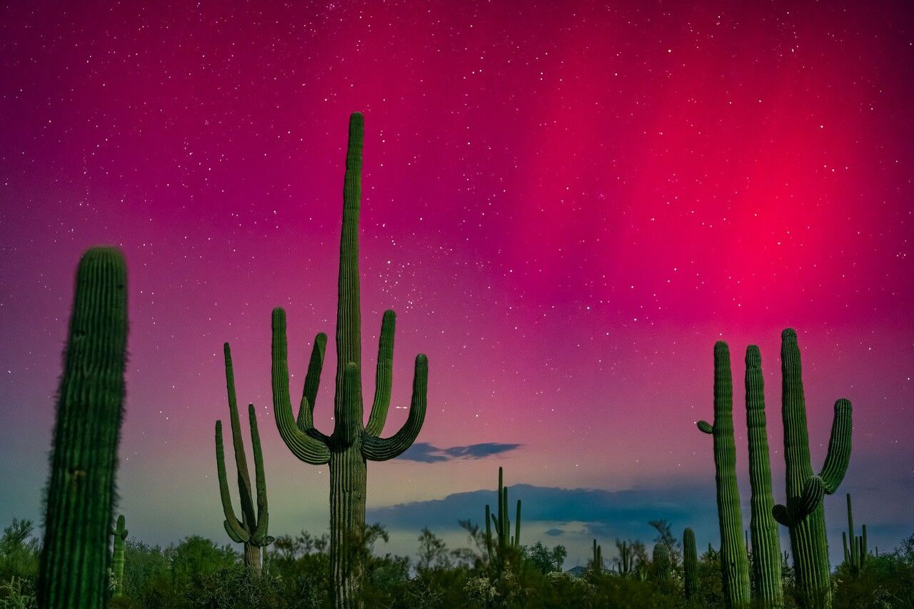 Early bird's got nothing on this Tucson nature photographer