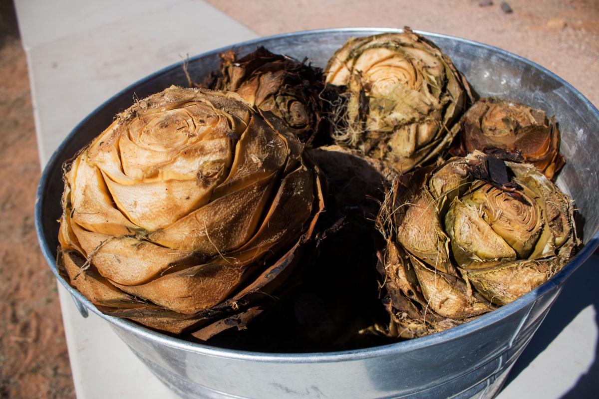 How the Tohono O'Odham roast agave into sweet candy | eat | tucson.com