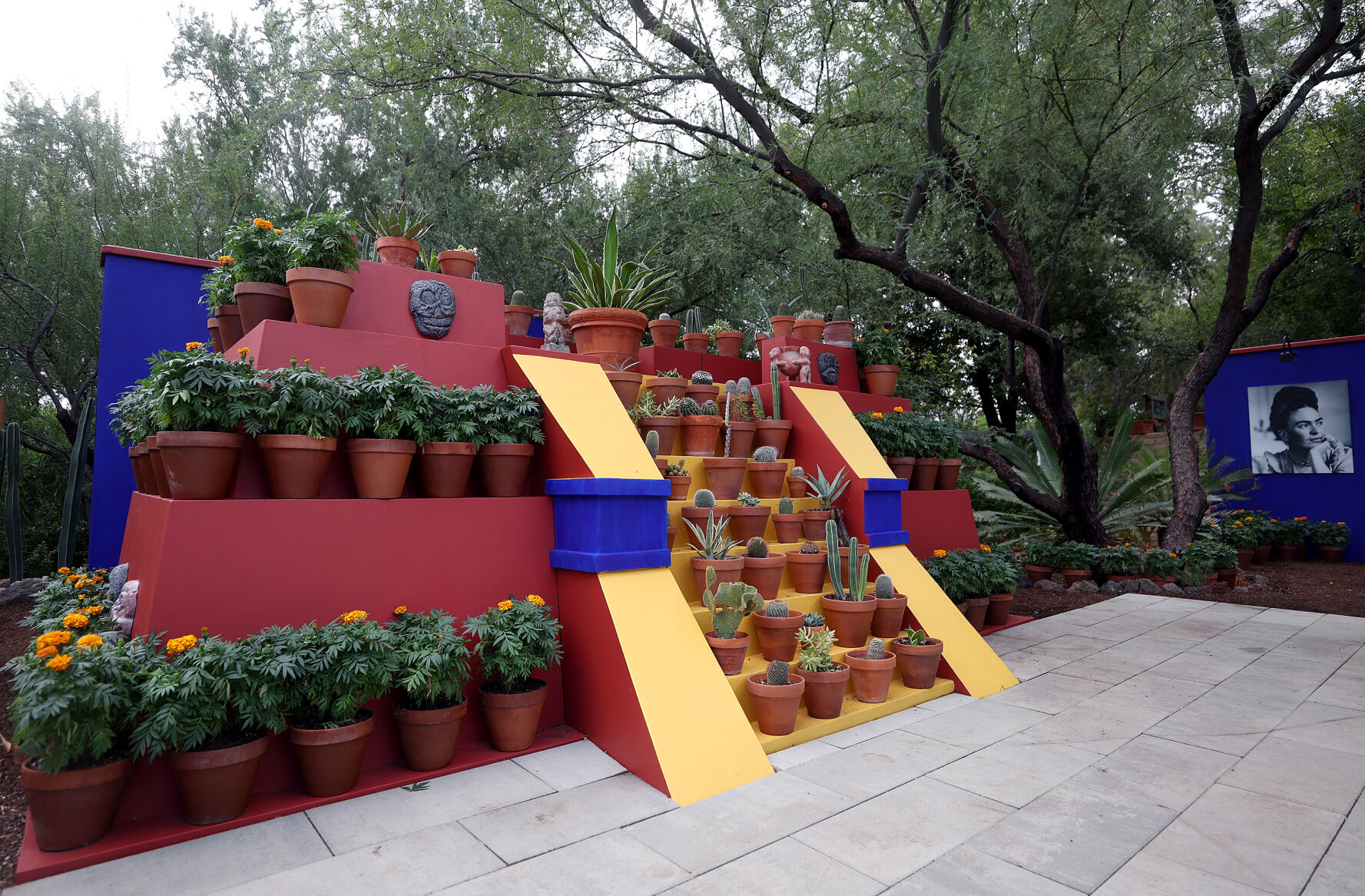 New Frida Kahlo garden in Tucson 'zings' with vibrant colors