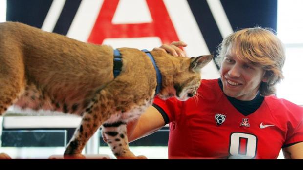 Wilbur and Wilma Wildcat through the years | | tucson.com