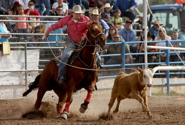 Photos: The best from Saturday's action at the Tucson Rodeo | Rodeo ...