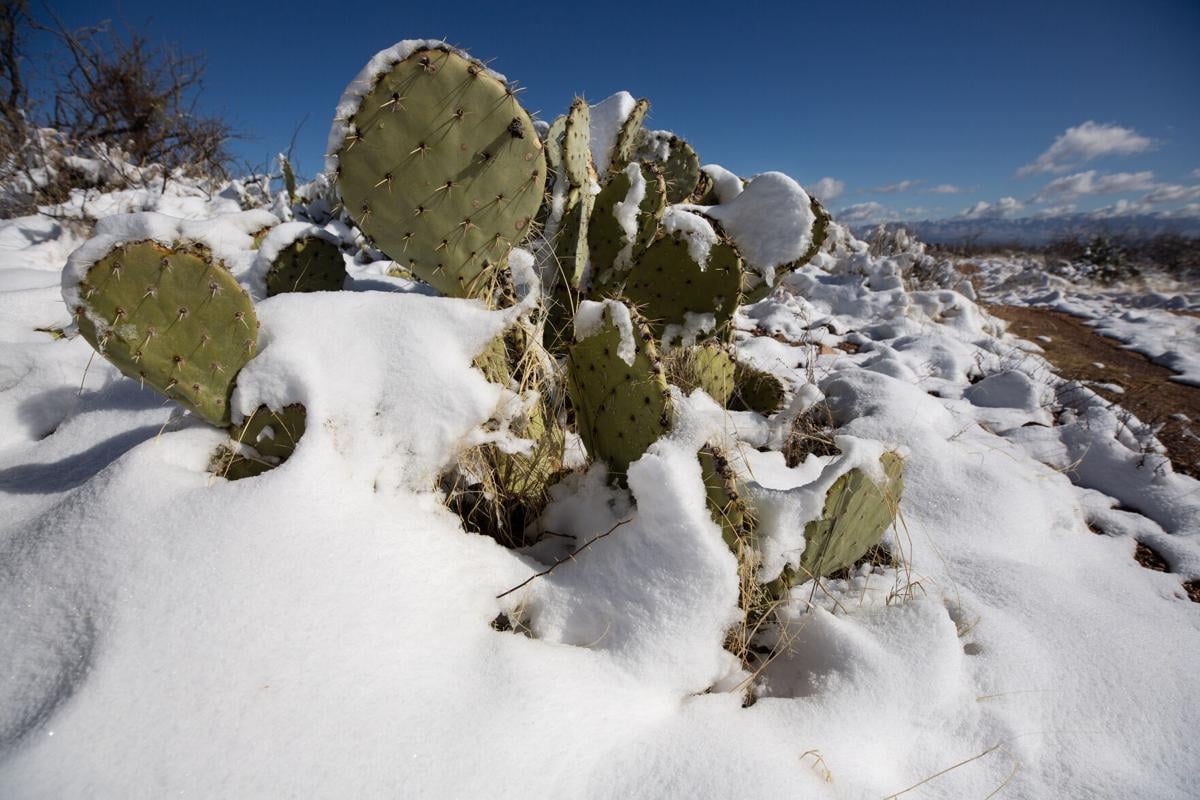 El mes de la primavera empezará con nieve y viento en Tucsón