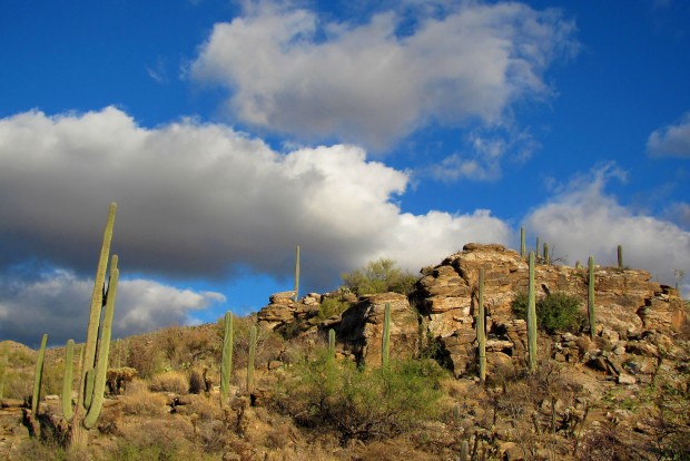 Tanque Verde Ridge Trail is the path to many goals