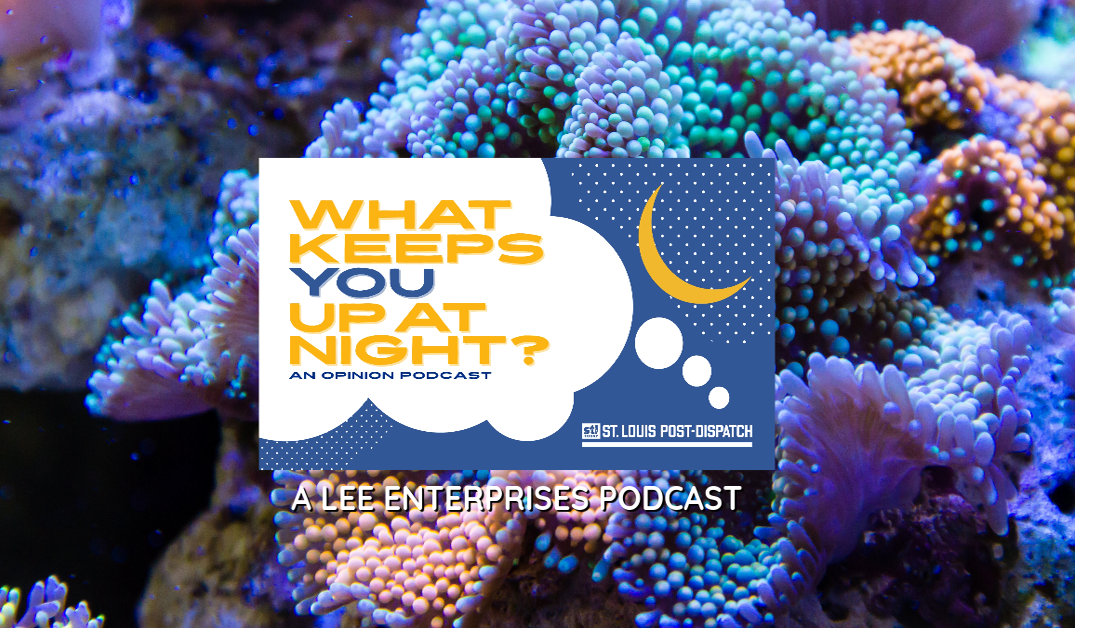 Caring for our coral, marine life benefits all of us | Columnists ...