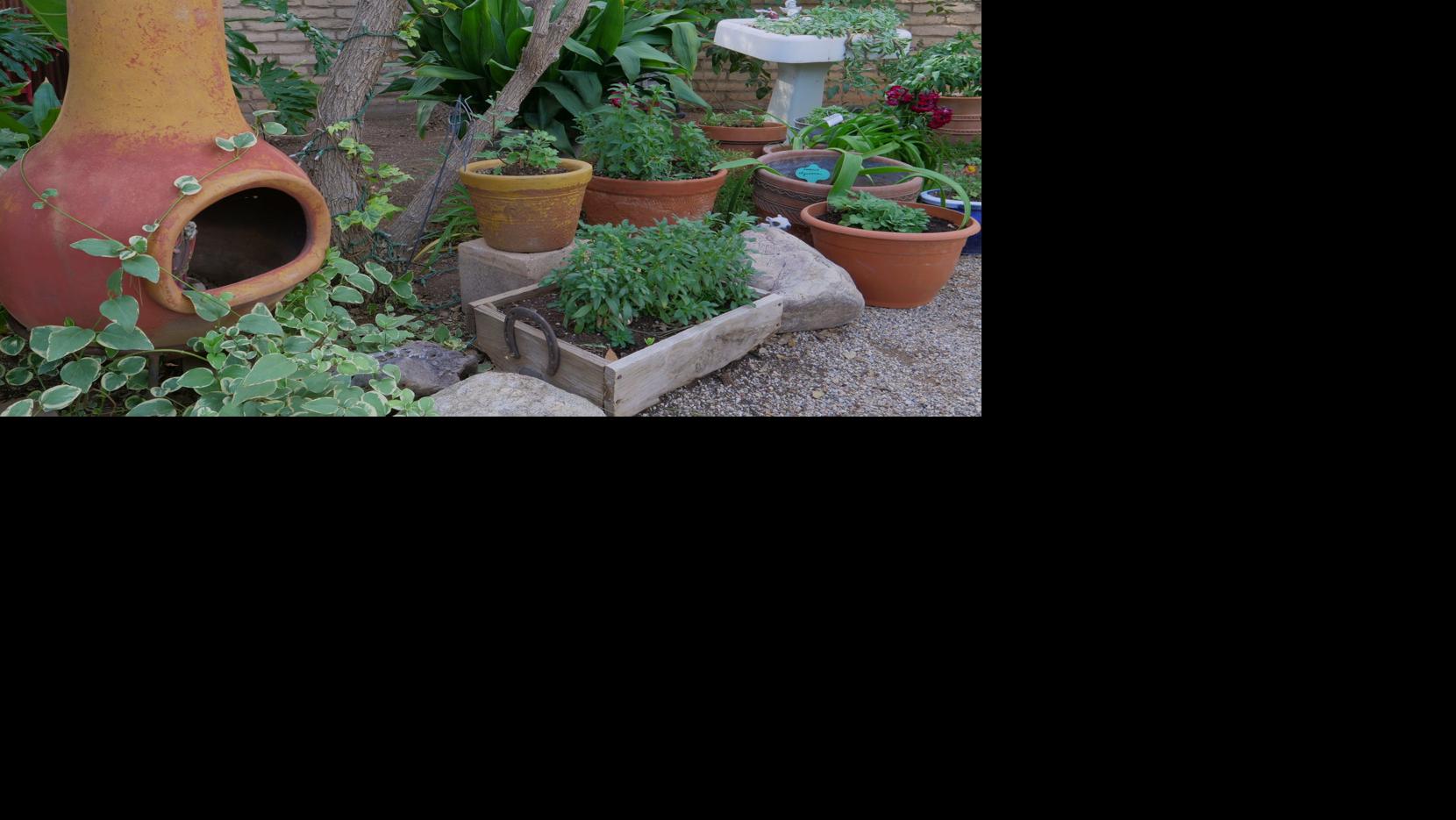Tucson gardens that will take you back in time