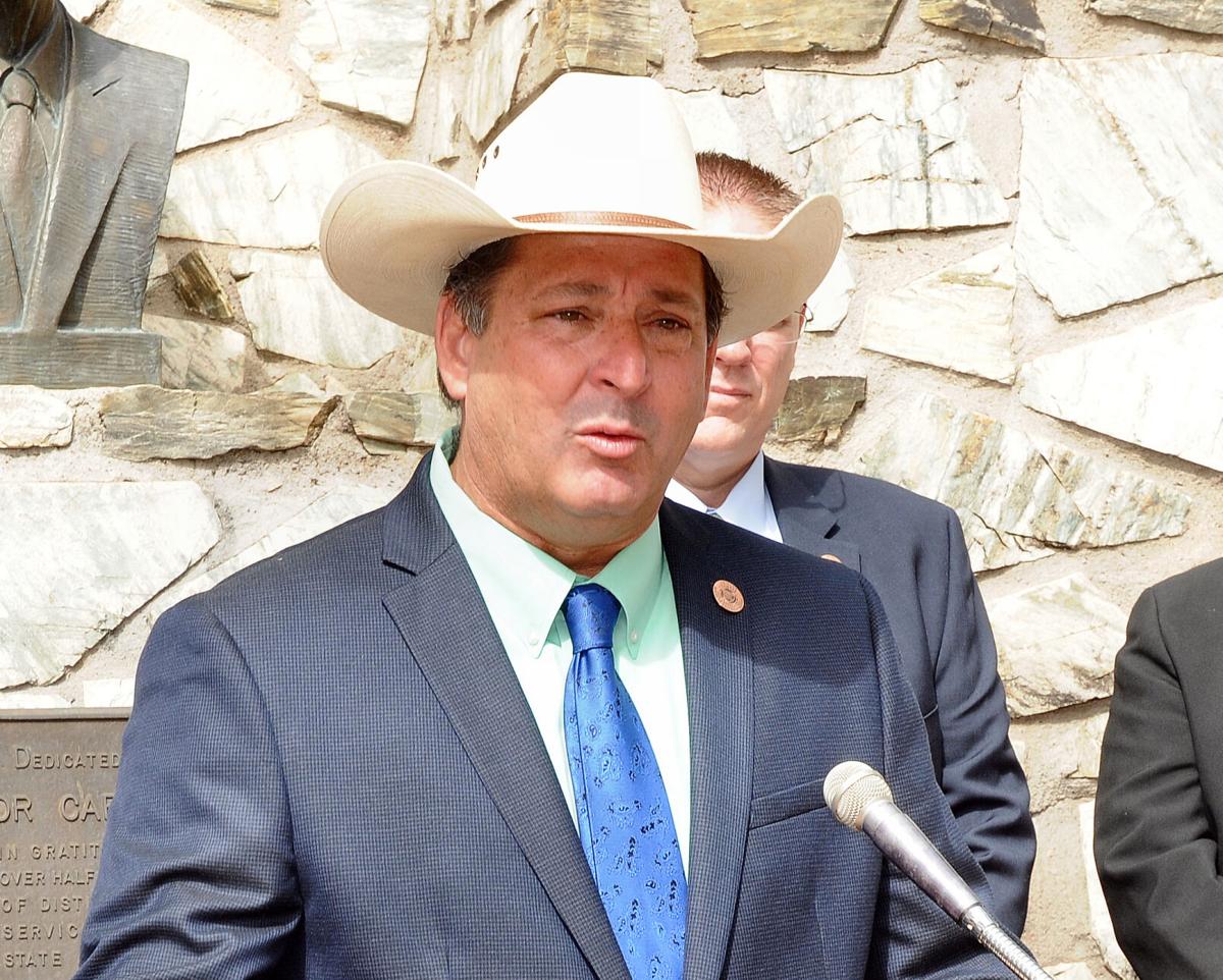 Arizona lawmaker: Incumbents should get pass on collecting nominating ...