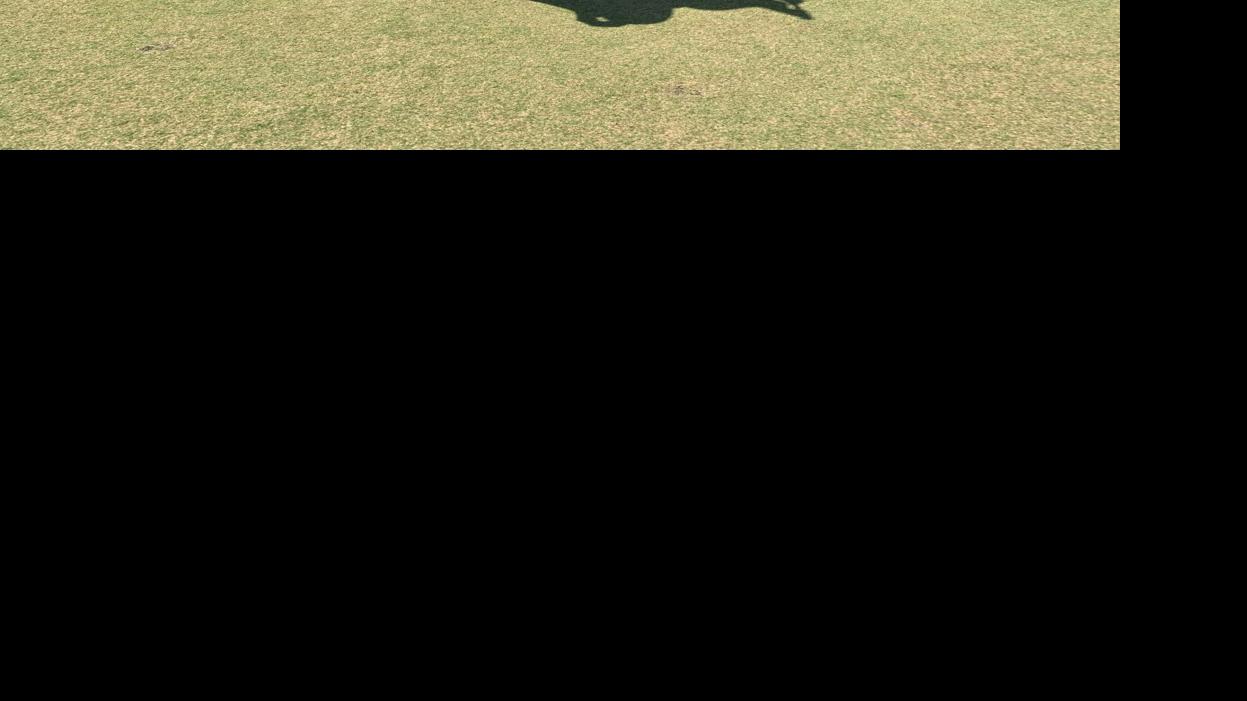 SaddleBrooke Women's Golf Association | Sports | tucson.com