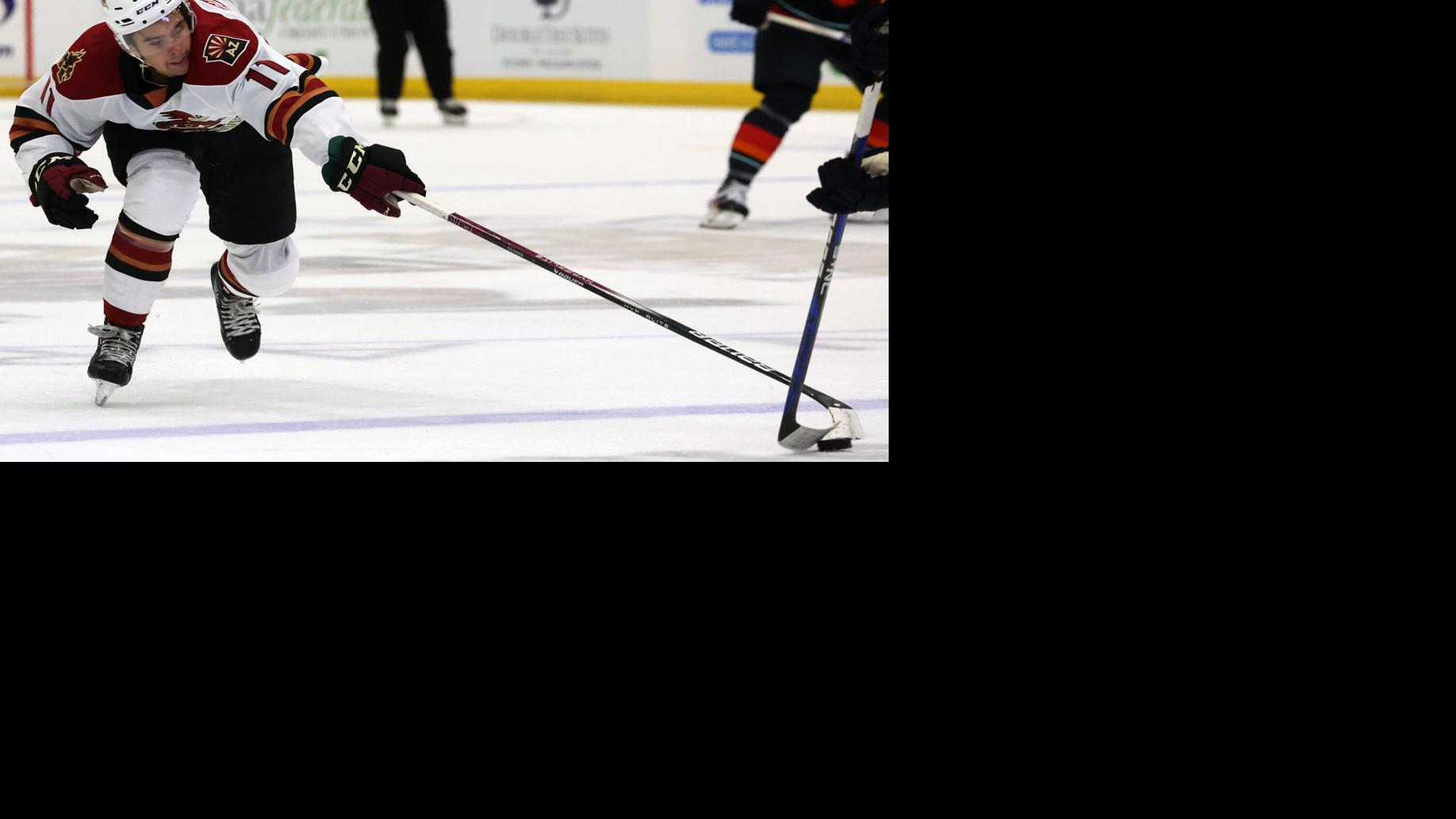 Tucson Roadrunners' magic number 20 for AHL playoff berth