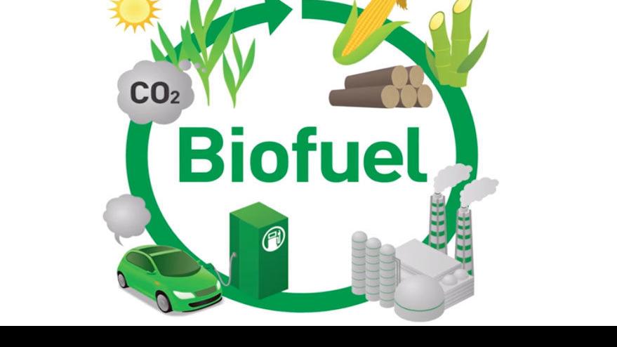 Blue Sky Science: Could the biofuel cycle be made more efficient ...