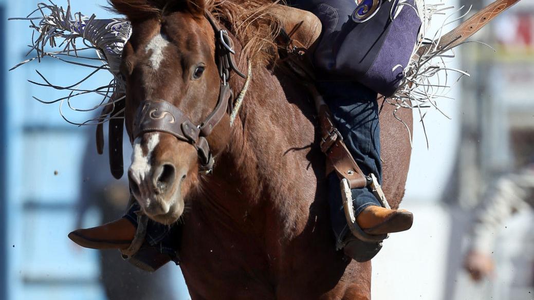 Tyler Corrington has his mojo back, eyes big payday at Tucson Rodeo