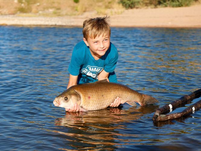 Three species of century-old fish found in Apache Lake