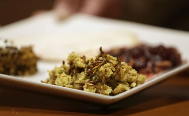 Photos: Bugs for Thanksgiving dinner
