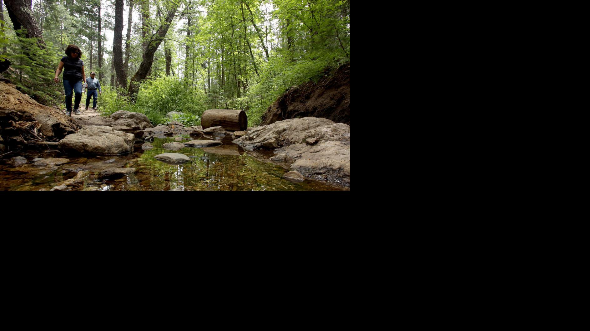 Planning a Tucson hike this summer? Here are some tips to stay safe ...