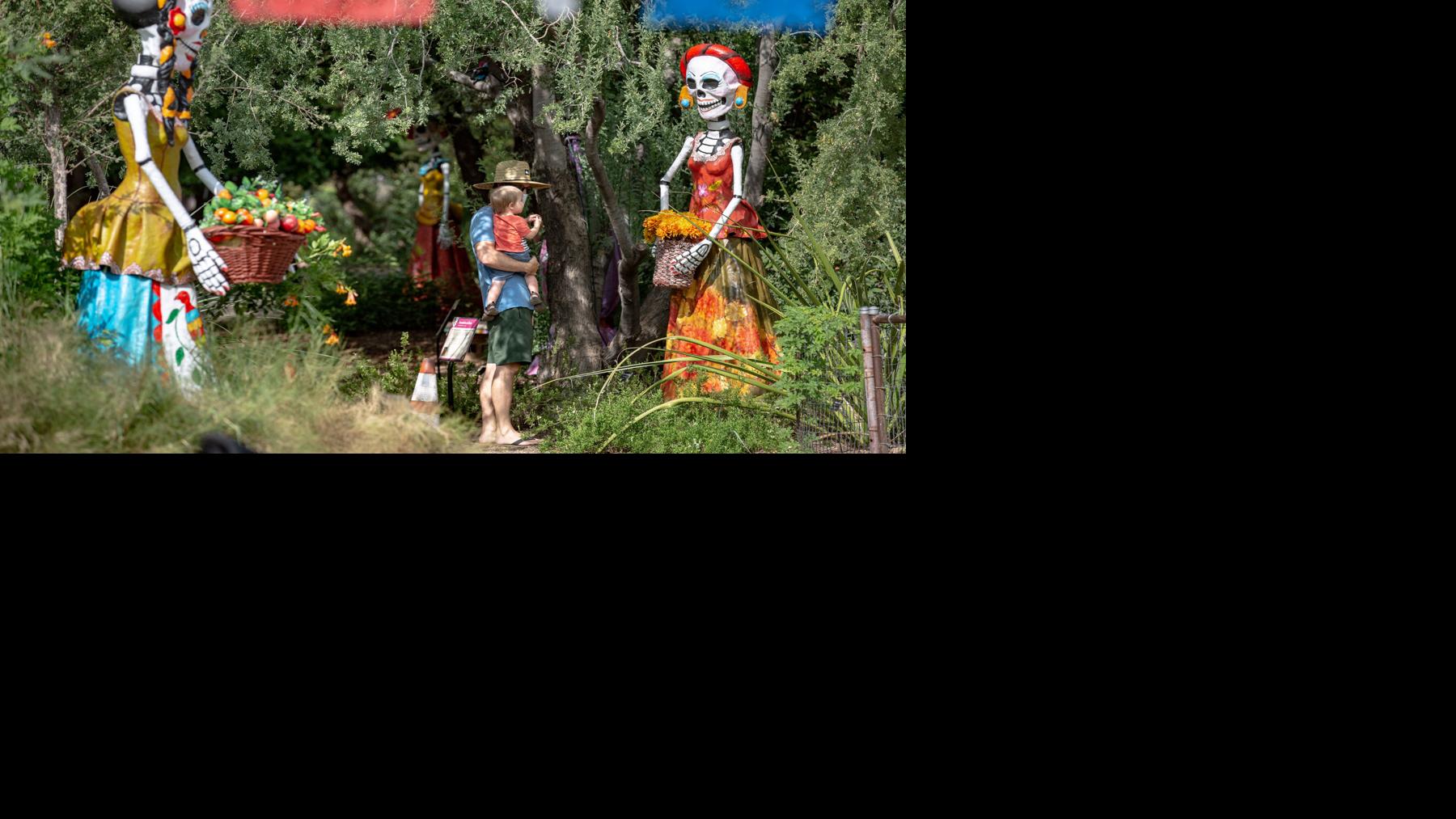 Plan your family's fall break with these Tucson camps, outdoor ...