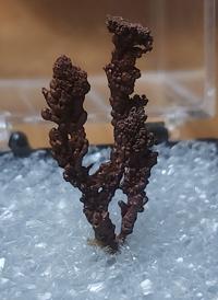 Mine Tales: Some Arizona mines and their prized minerals