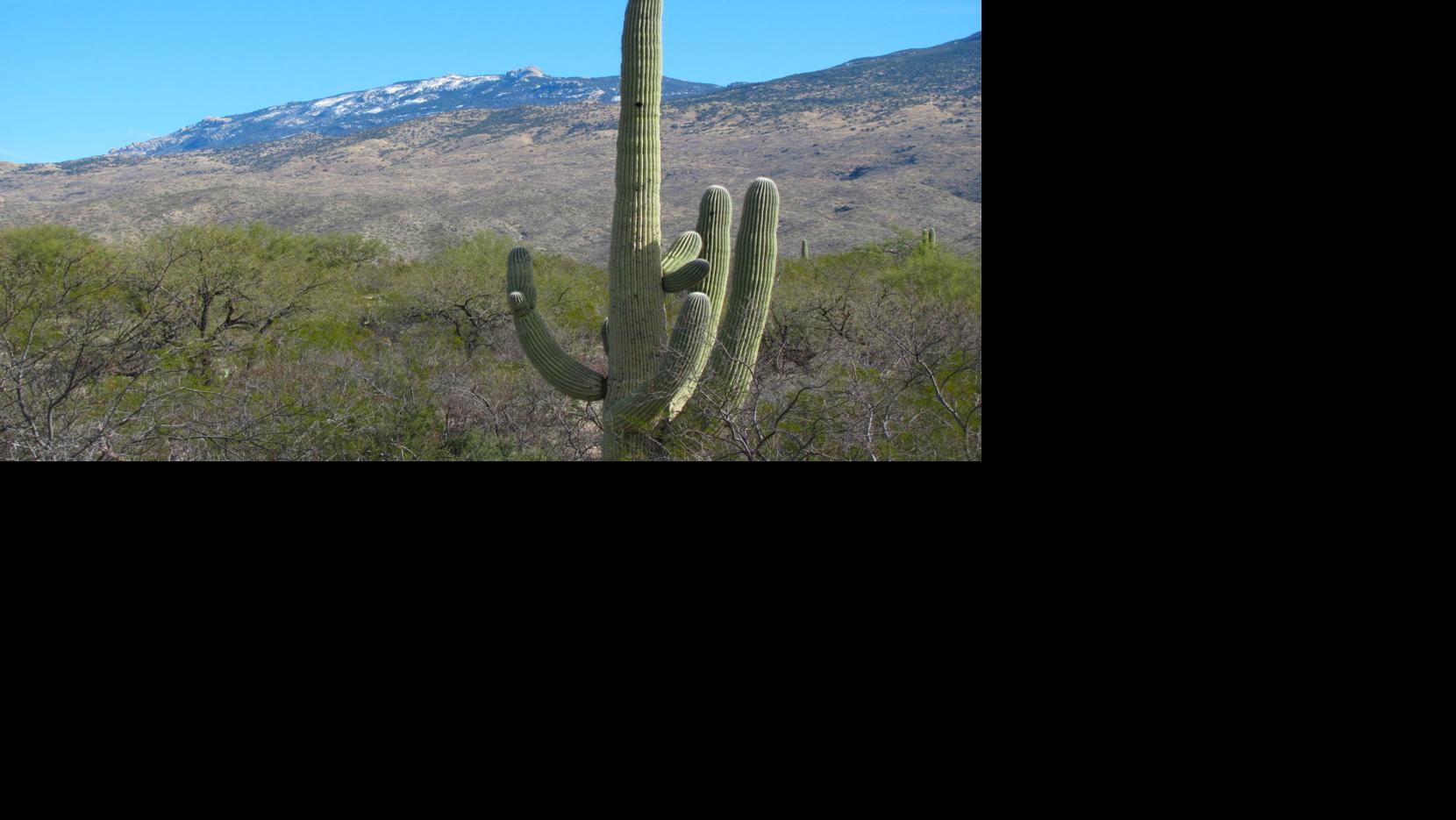 Tucson weather: Below normal temperatures continue through the weekend