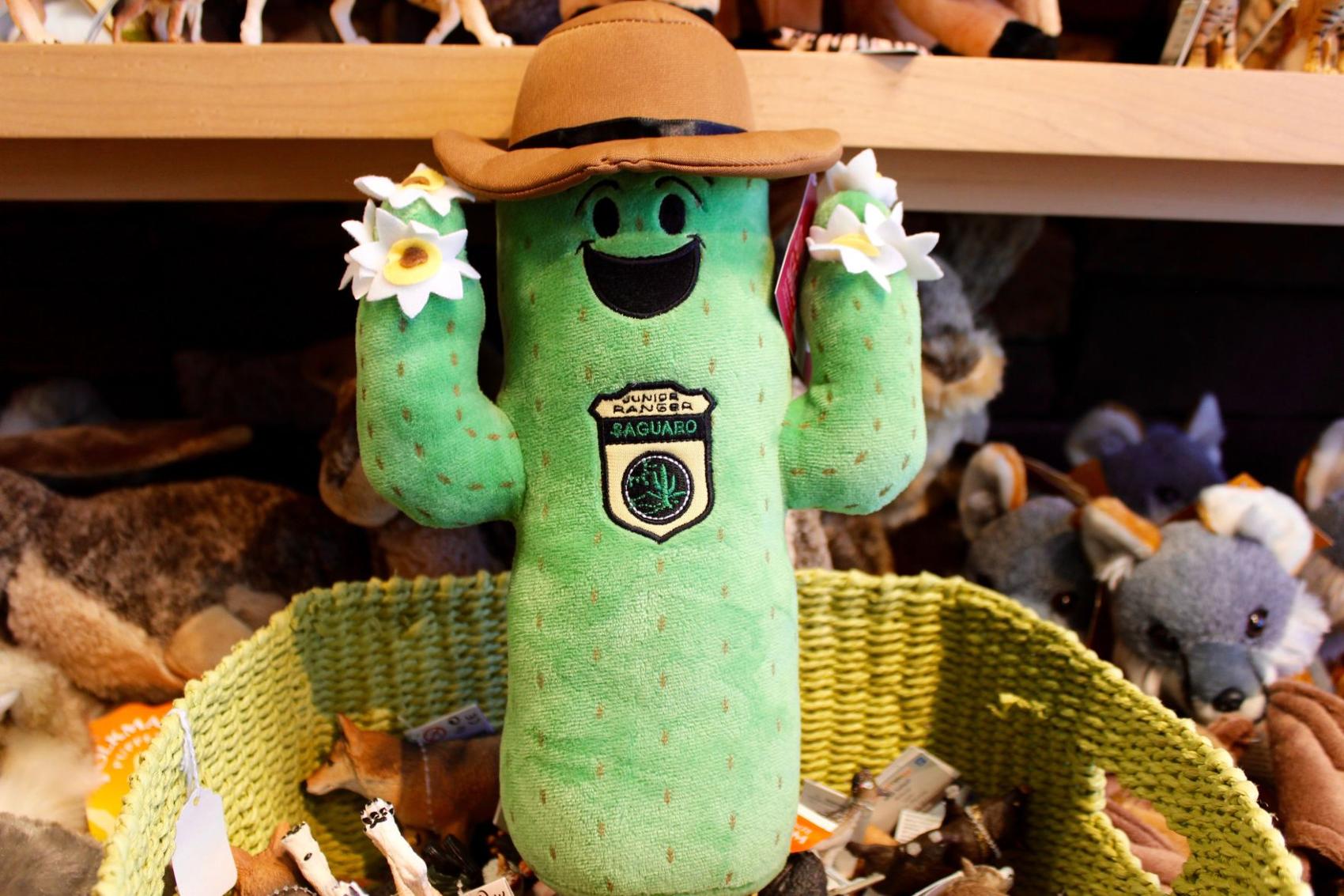 Give the gift of Tucson with these 18 Sonoran Desert gifts | tucson ...